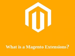 What is a Magento Extension? ⭐️ Blog WeGento